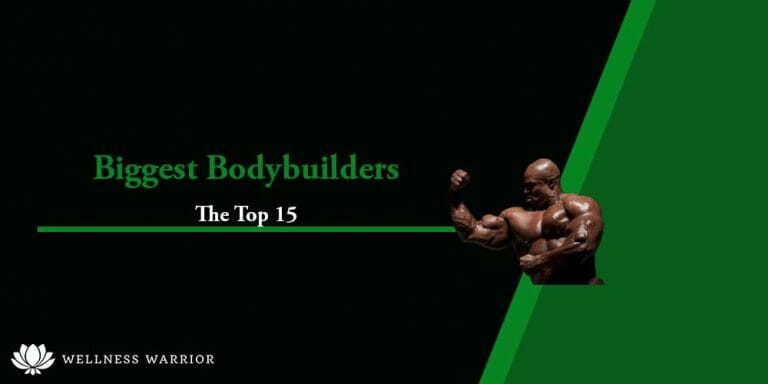 Top 15 Biggest Bodybuilders Ever - Largest Most Muscular Men