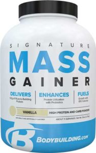 9 Best Mass Gainer Supplements 2025: Top Weight Gainer Pills