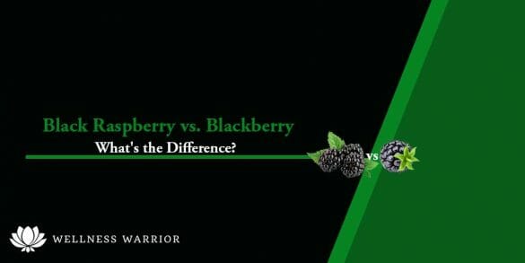 Black Raspberry vs. Blackberry: What's the Difference?