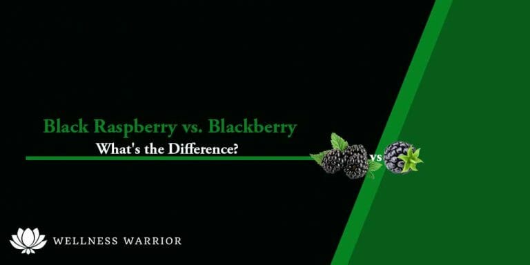 Black Raspberry vs. Blackberry: What's the Difference?