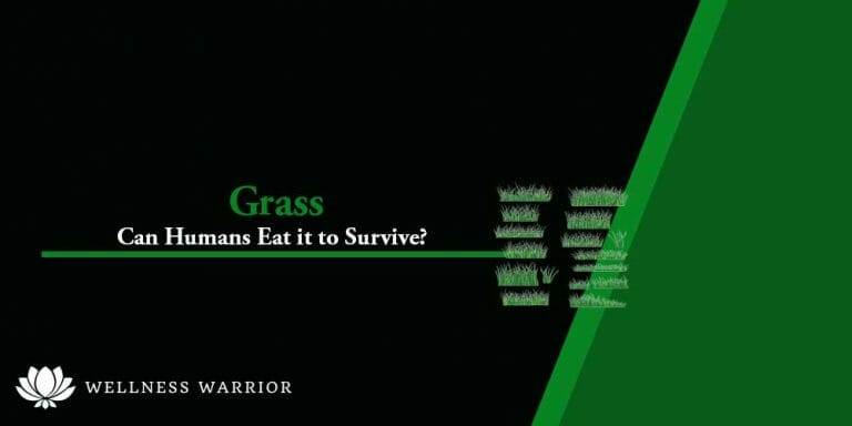 Can Humans Eat Grass to Survive? Is Grass Edible?