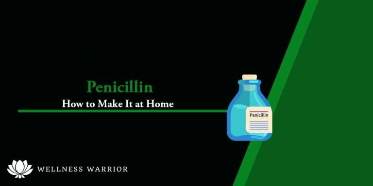 How to Make Penicillin at Home (in Case of Apocalypse)
