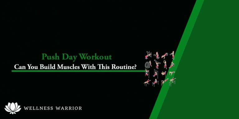 Push Day Workout: Can You Build Muscles With This Routine?