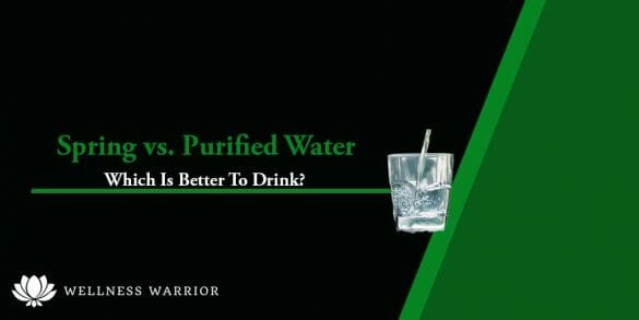 Spring Water vs. Purified Water – Which Is Better?