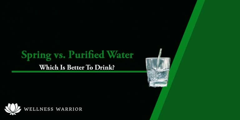 Spring Water vs. Purified Water – Which Is Better?