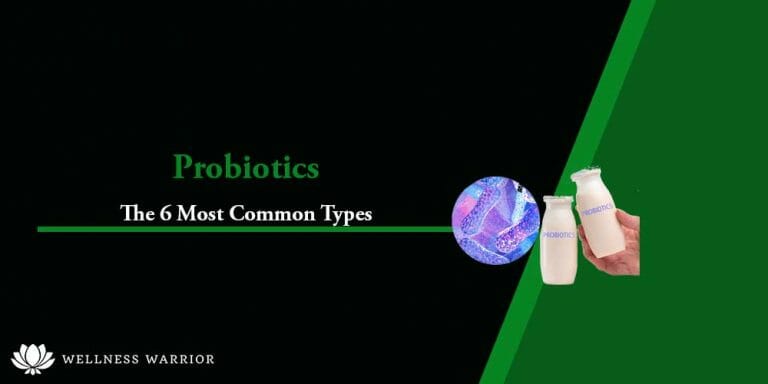 6 Most Common Types of Probiotics...