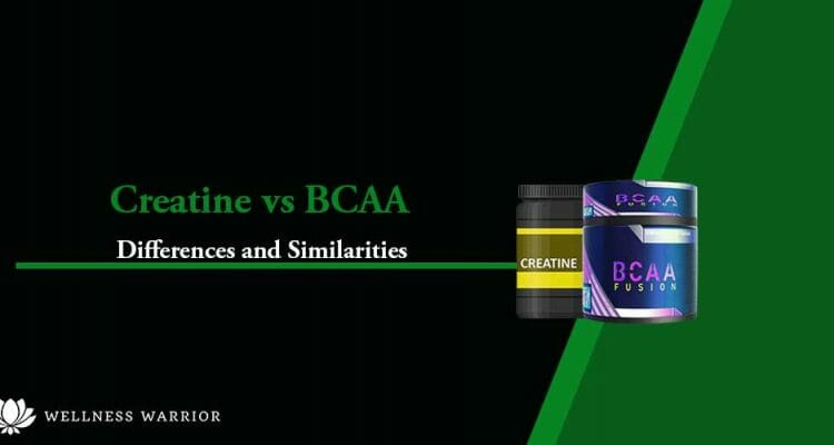 Bcaas Vs Creatine What Are The Differences And Similarities