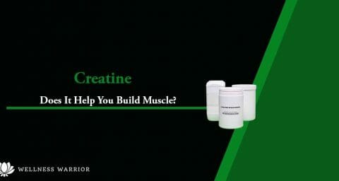 Does Creatine Help You Build Muscle?