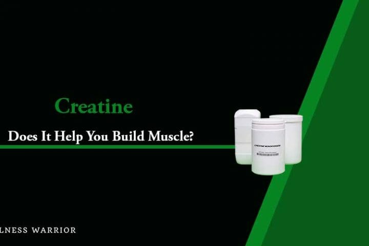 Bodybuilding | Wellness Warrior: Your Guide to a Healthier, More ...