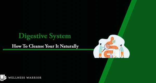 How You Can Detoxify Your Digestive System Naturally