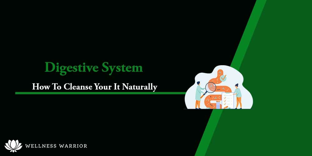 How You Can Detoxify Your Digestive System Naturally