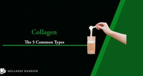 What Are The Different Types of Collagen